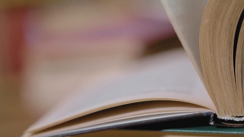 The Complete Guide to Becoming a Good Beta Reader - Proactive Writer